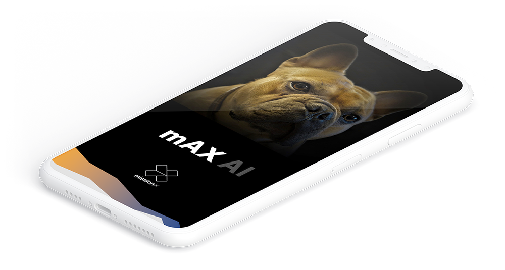 missionX Professional project, process and resource management